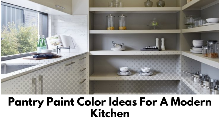 Pantry Paint Color Ideas For A Modern Kitchen - Pantry Raider